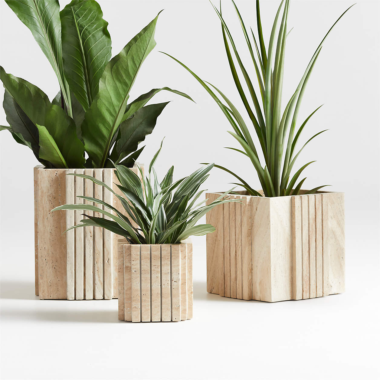 Canali Travertine Square Planters by Athena Calderone | Crate & Barrel