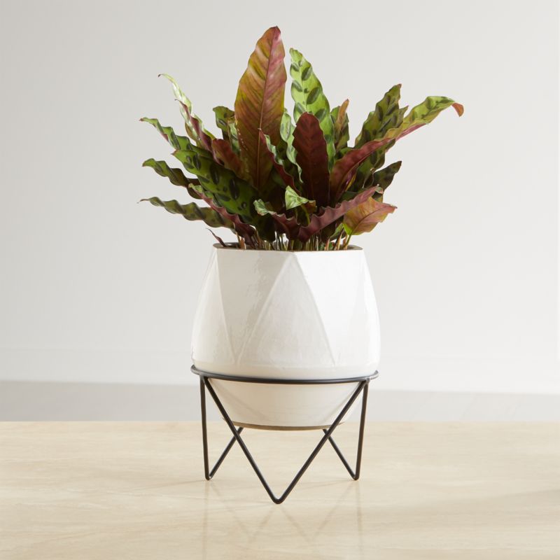 Aaro Medium Geo Planter with Stand + Reviews | Crate & Barrel