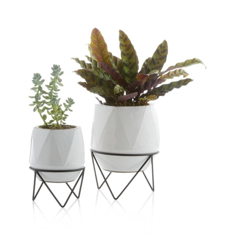 Aaro Planters with Stands | Crate & Barrel