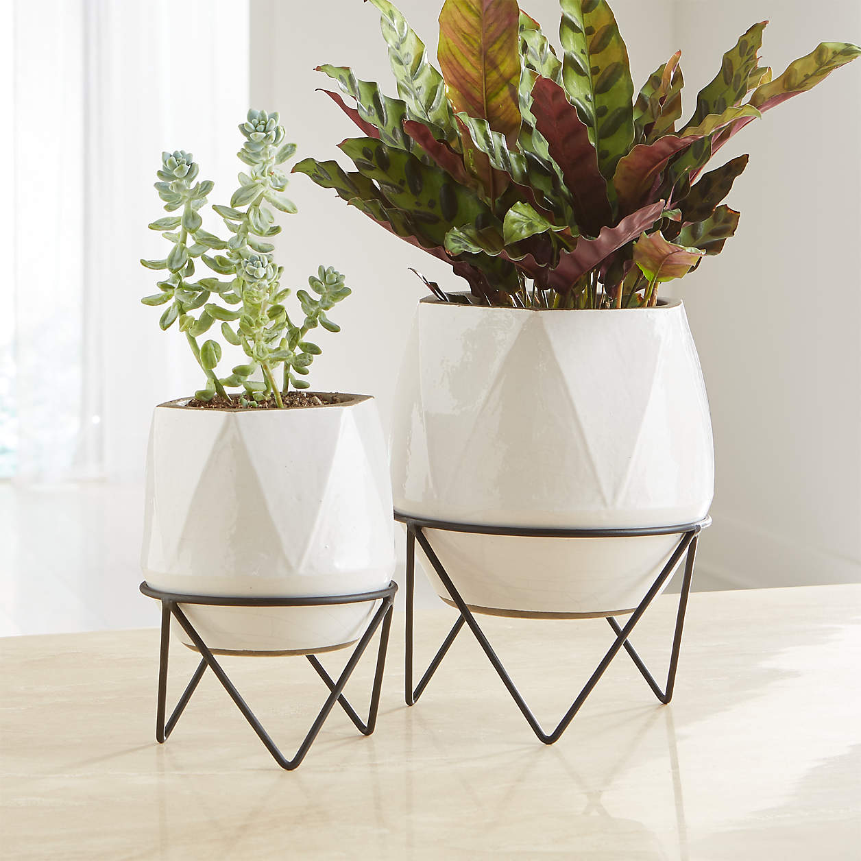 Aaro Planters with Stands | Crate & Barrel
