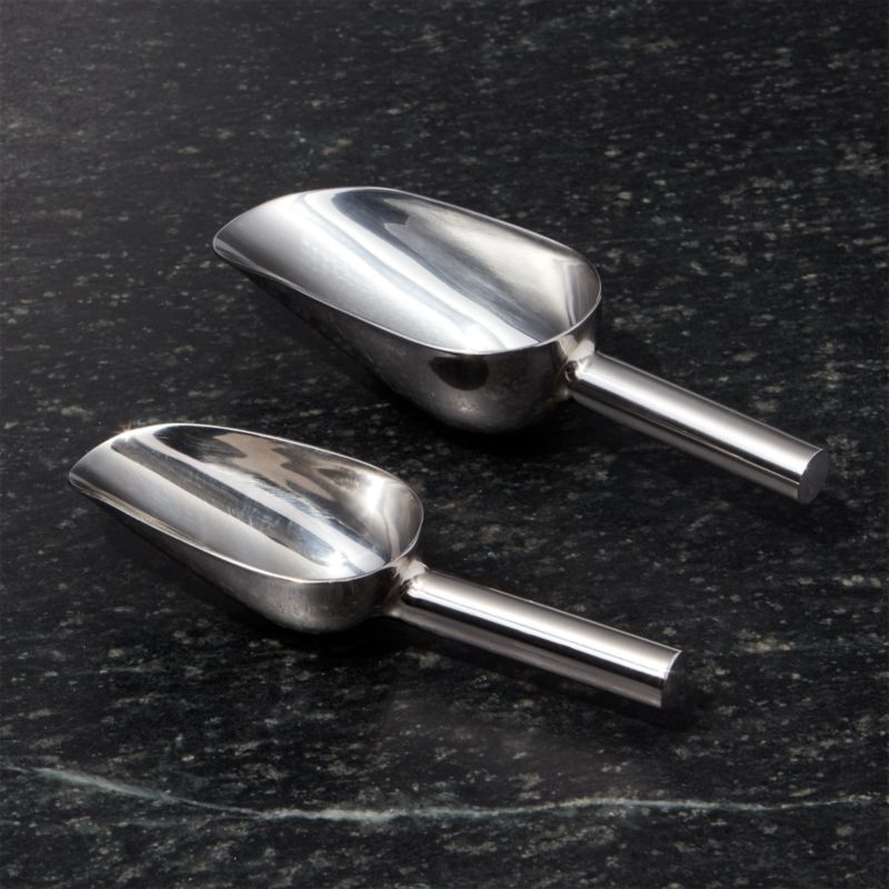 Small All-Purpose Scoop + Reviews | Crate & Barrel