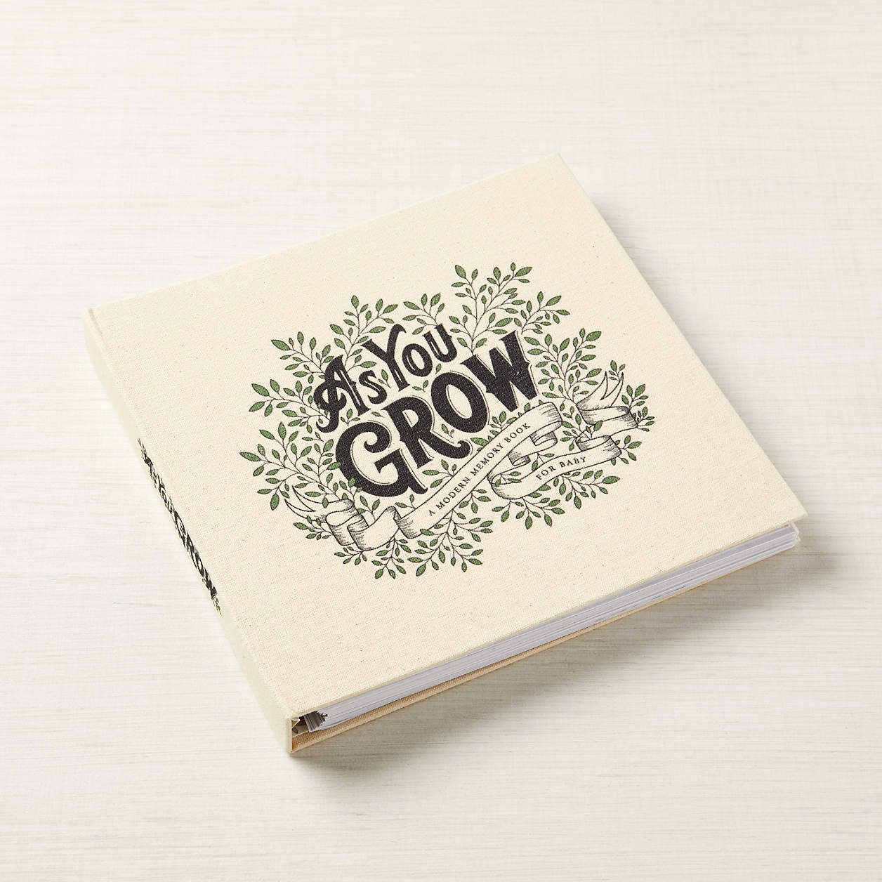 As You Grow Baby Memory Book by Korie Herold + Reviews | Crate & Kids
