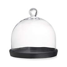 Covered Cheese Server + Reviews | Crate & Barrel Canada