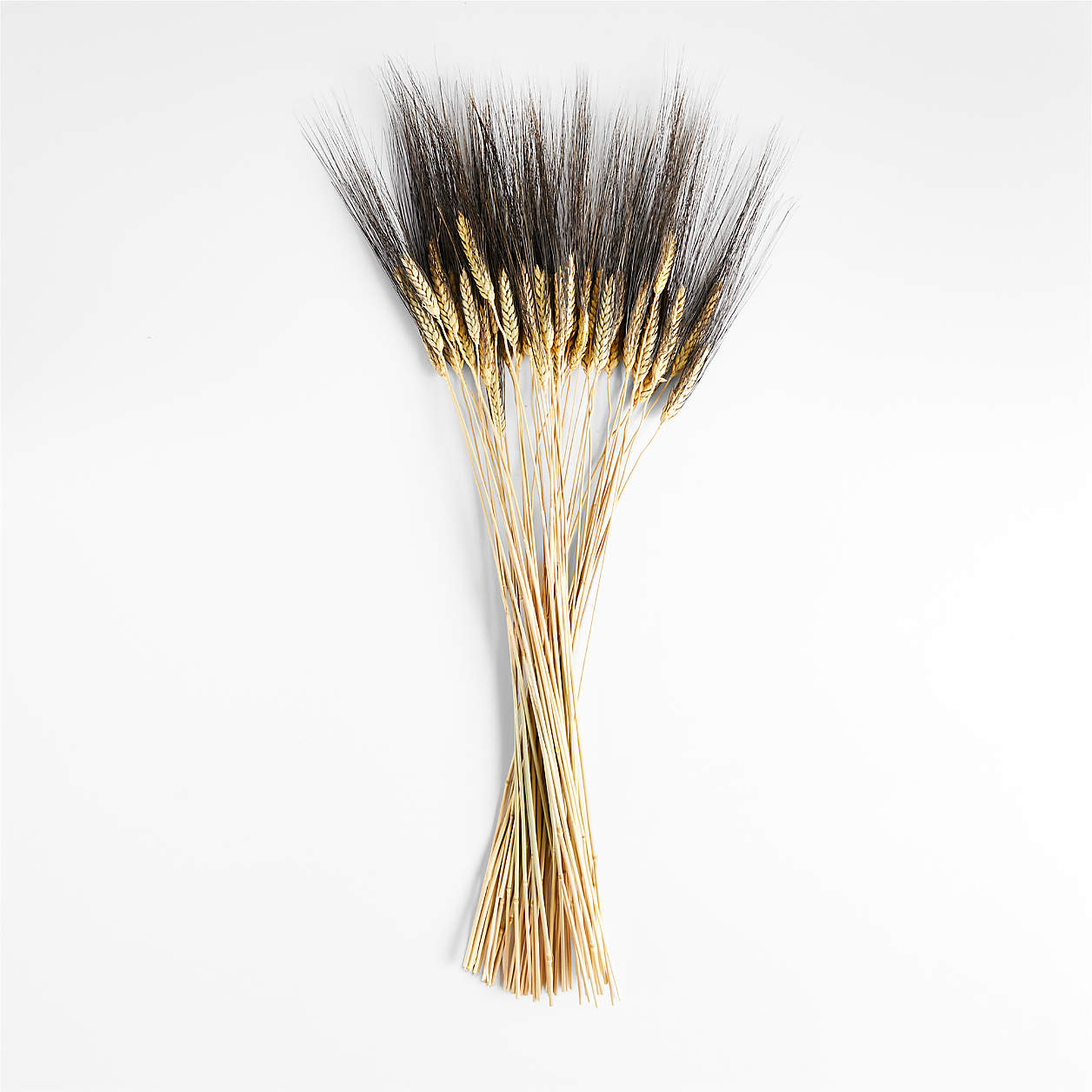 Decorative Dried Wheat Bunch 30 Reviews Crate And Barrel
