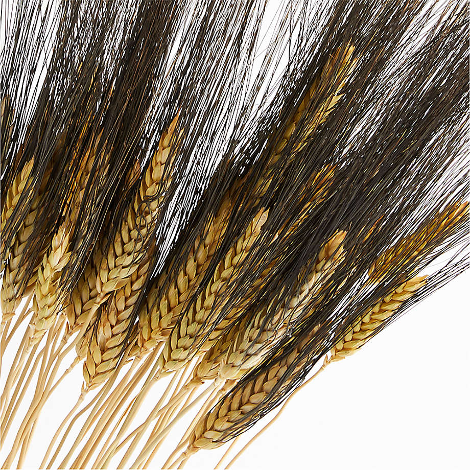 Decorative Dried Wheat Bunch 30" | Crate & Barrel