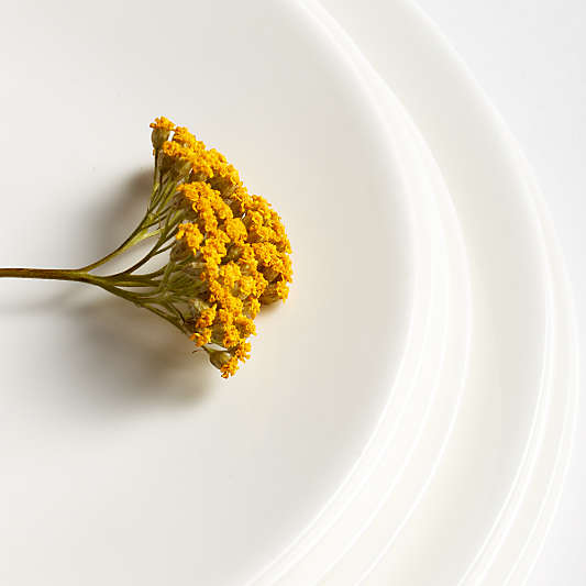 Round Dinner Plates & Rounded Dining Plate Sets | Crate & Barrel