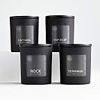 Bright Black Rock Sassafras and Palo Santo Scented Candle + Reviews ...