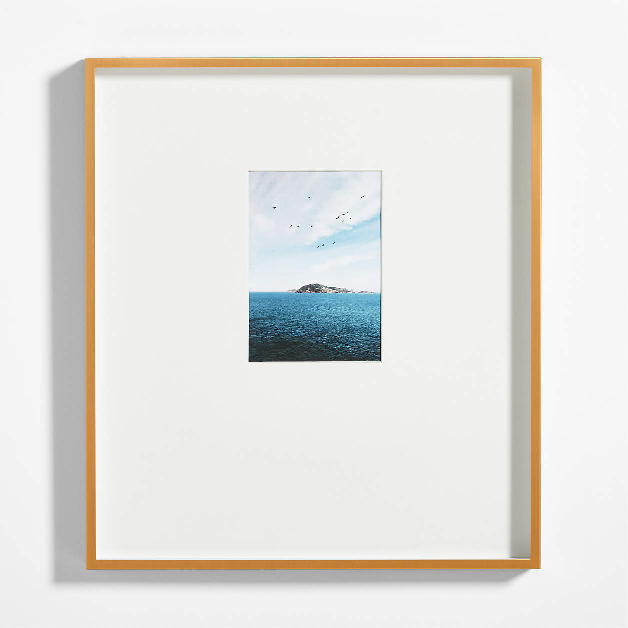 Brushed Brass Metal Picture Frame with Vertical White Mat 5x7 | Crate ...