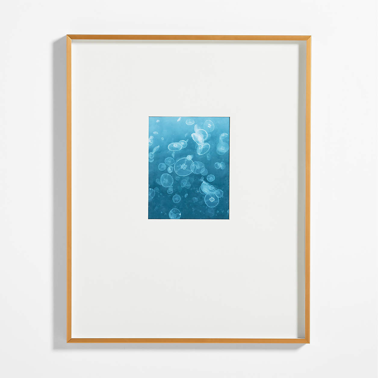 Brushed Brass Metal Picture Frame with White Mat 8x10 + Reviews | Crate ...