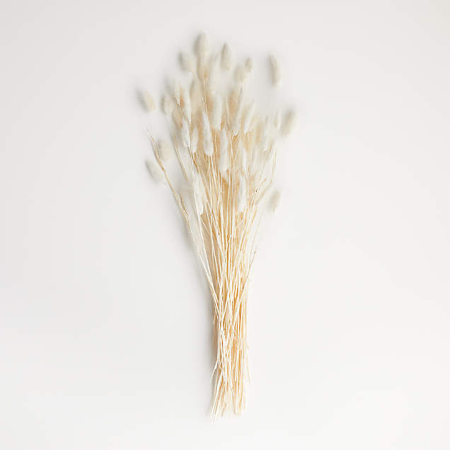 Rust Dried Bunny Tail Grass Bunch + Reviews | Crate & Barrel
