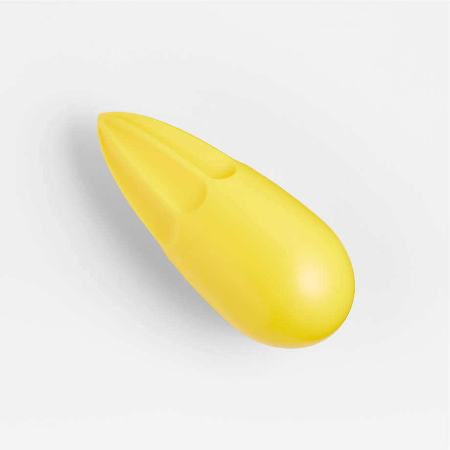 Crate & Barrel Citrus Reamer | Crate & Barrel