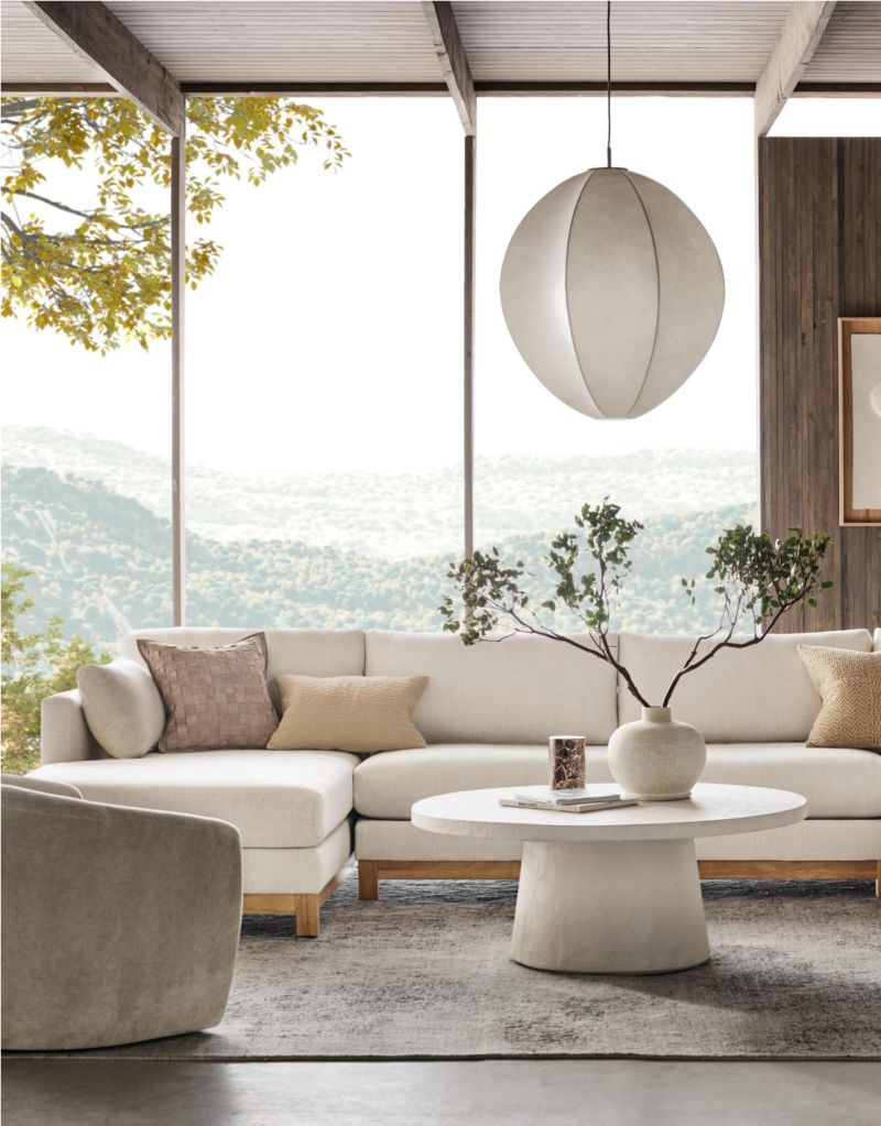 Rugs for Every Room | Crate & Barrel Canada