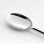 Crate & Barrel Stainless Steel Spoon + Reviews | Crate & Barrel