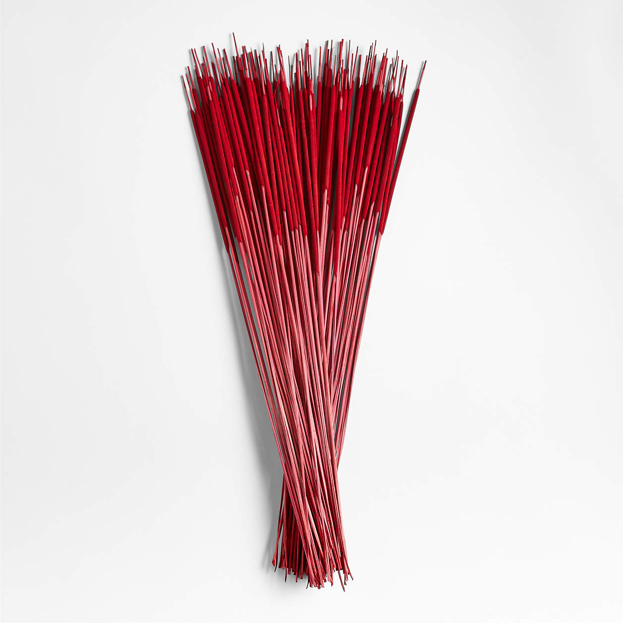 Crimson Dried Cattails Bundle 30" | Crate & Barrel
