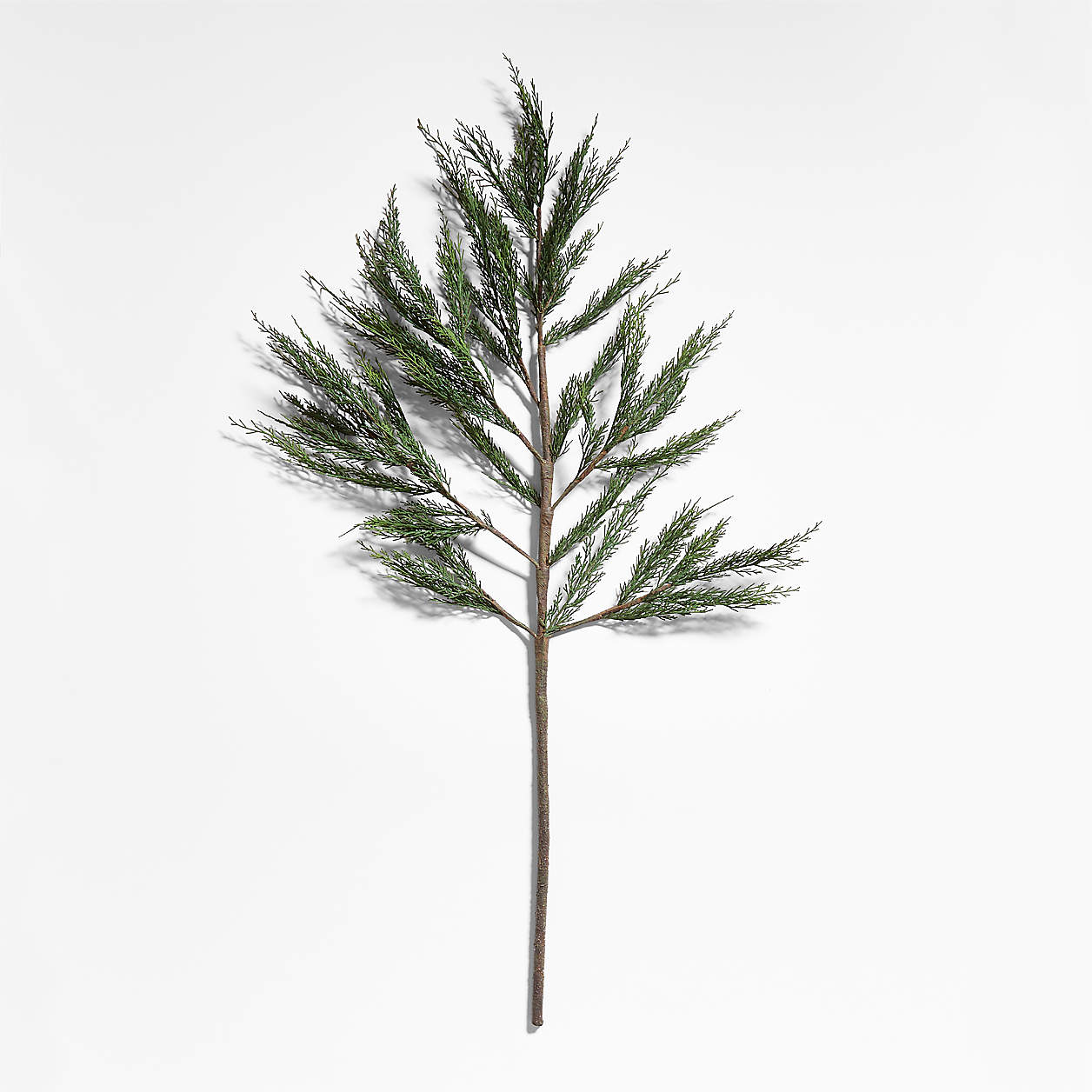 Extra-Large Faux Cypress Tree Stem | Crate & Barrel