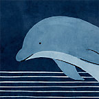 Dolphin Framed Wall Art Print + Reviews | Crate & Kids