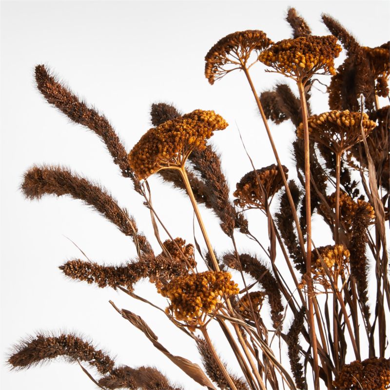 Dark Brown Yarrow & Setaria Dried Flower Bouquet | Crate & Barrel