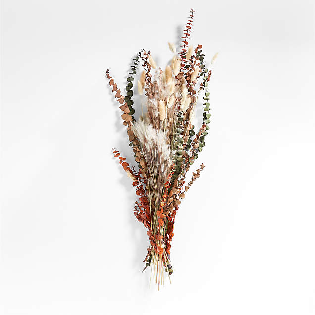 Rust Dried Bunny Tail Grass Bunch + Reviews | Crate & Barrel Canada