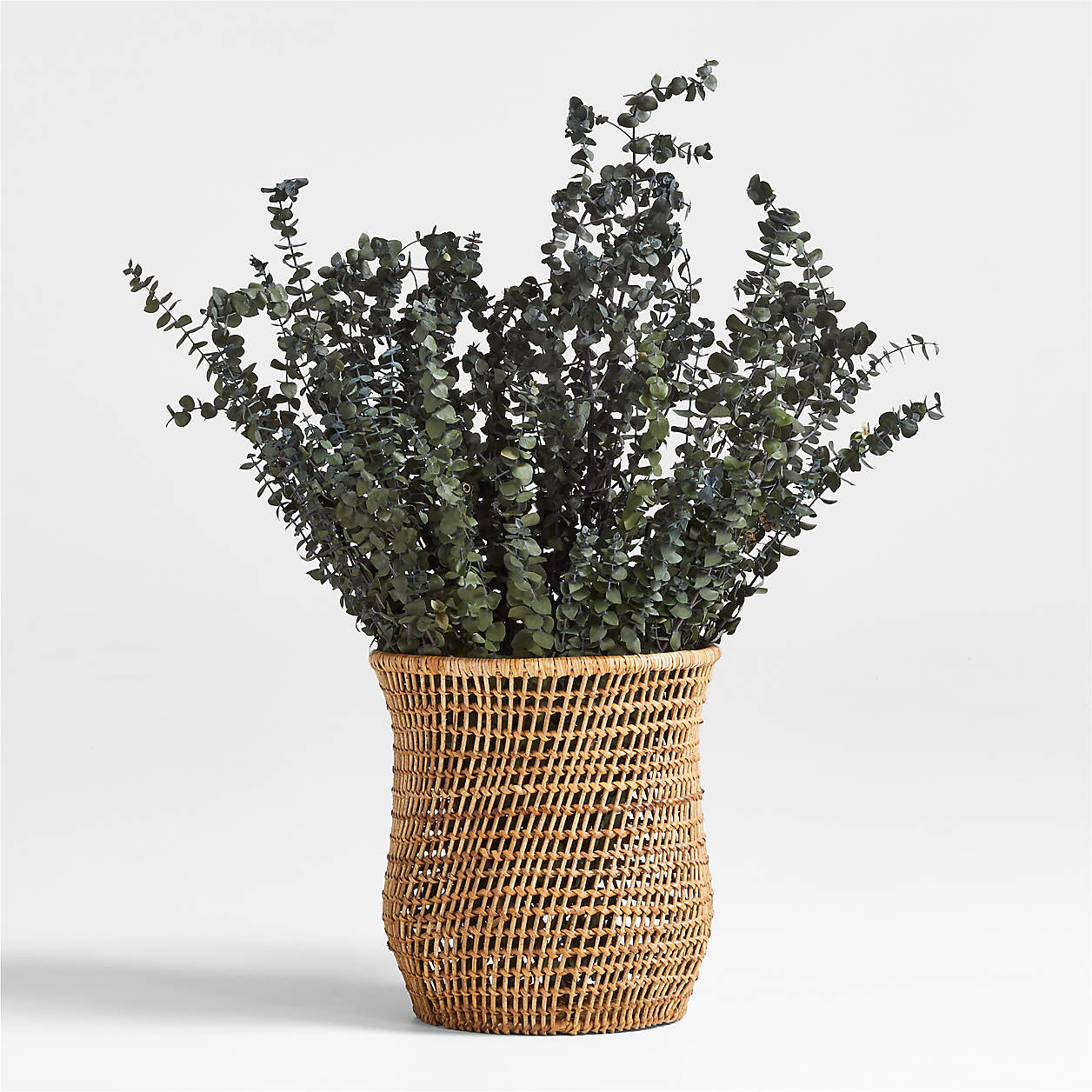 Olive Green Dried Eucalyptus Plant Bunch + Reviews | Crate & Barrel