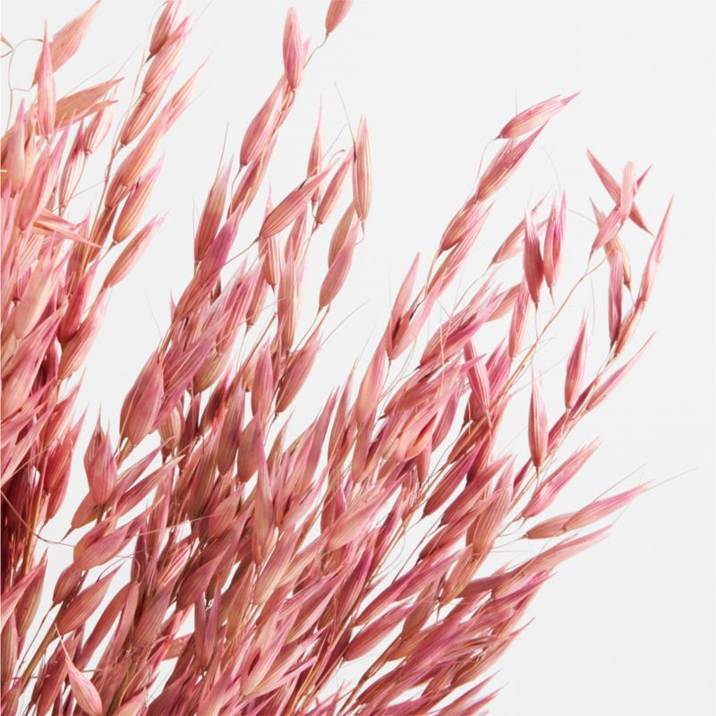 Pink Oat Decorative Dried Botanical Bunch + Reviews | Crate & Barrel