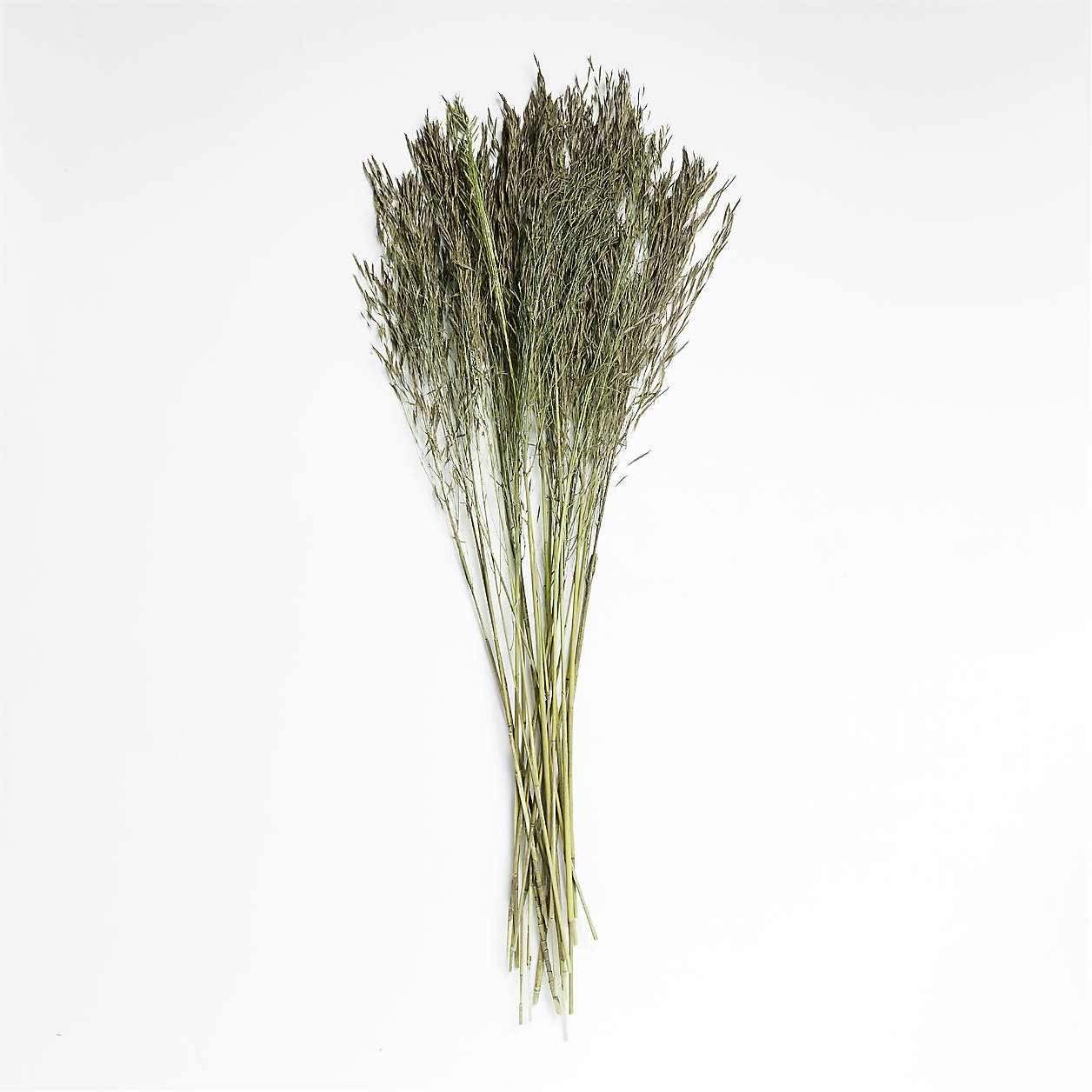 Sage Green Chorao Decorative Dried Grass Bunch + Reviews | Crate & Barrel