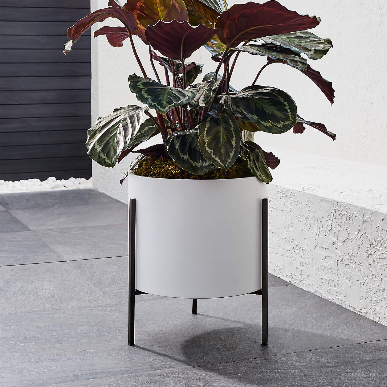 Crate And Barrel Planter