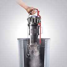Dyson Ball Animal 3 Upright Vacuum Cleaner + Reviews | Crate & Barrel