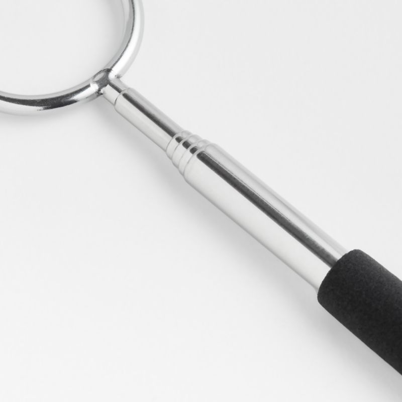 Expandable Roasting Fork + Reviews | Crate & Barrel