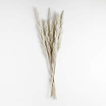 Grass Plume Feather Arrangement in Poe Volcanic Glaze Vase + Reviews ...