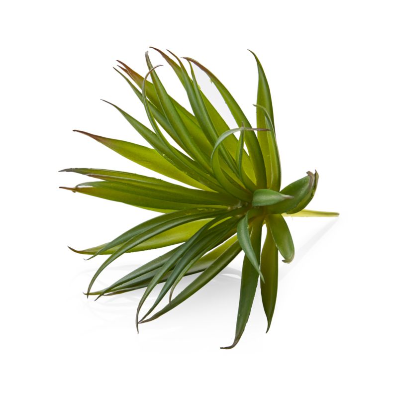 Faux Green Yucca Succulent Stem | Crate & Barrel