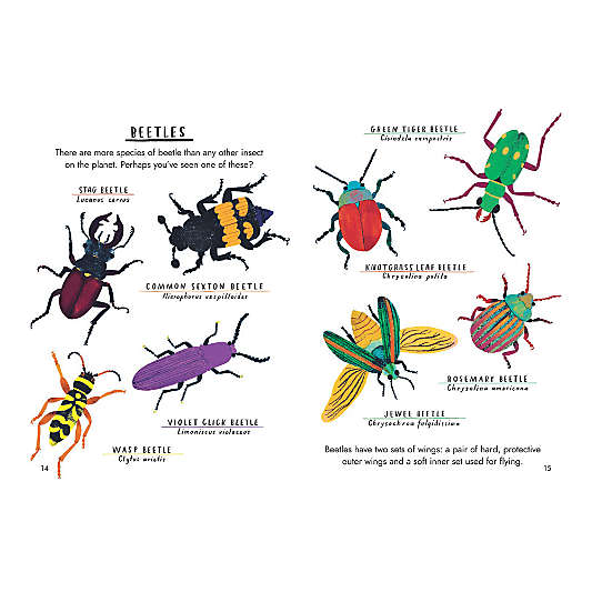 Toddler Toys | Crate & Kids