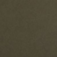 Hudson Burnt Green Stoneware Dinner Plates, Set of 8 + Reviews | Crate ...