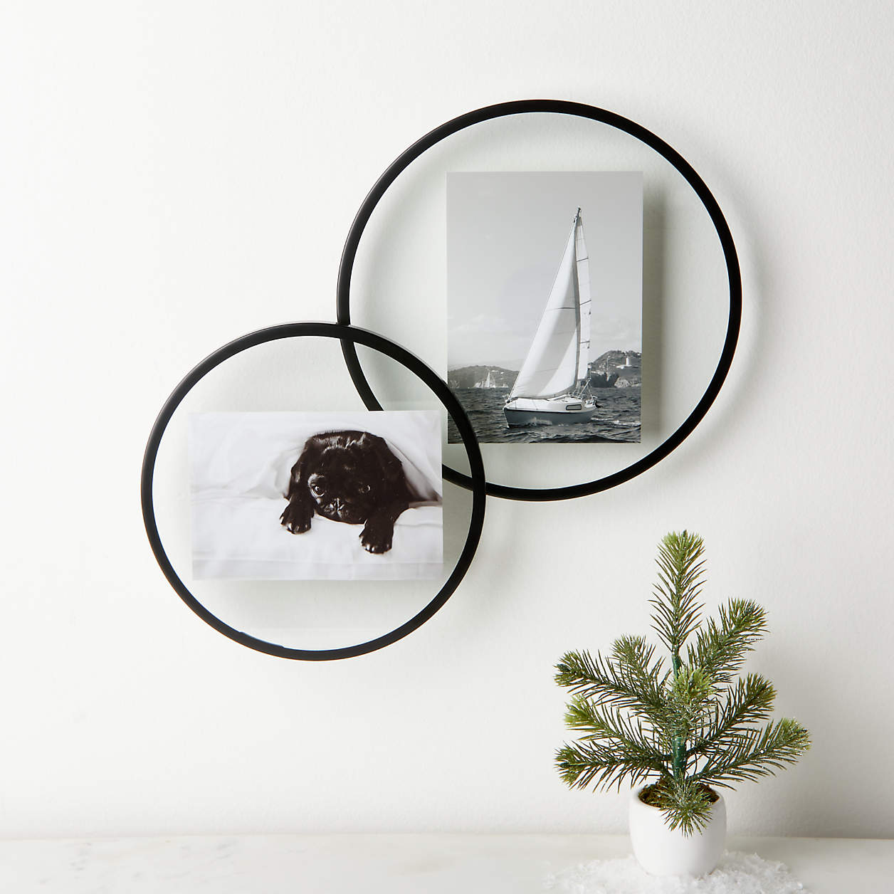 Infinity Round Picture Frames | Crate & Barrel
