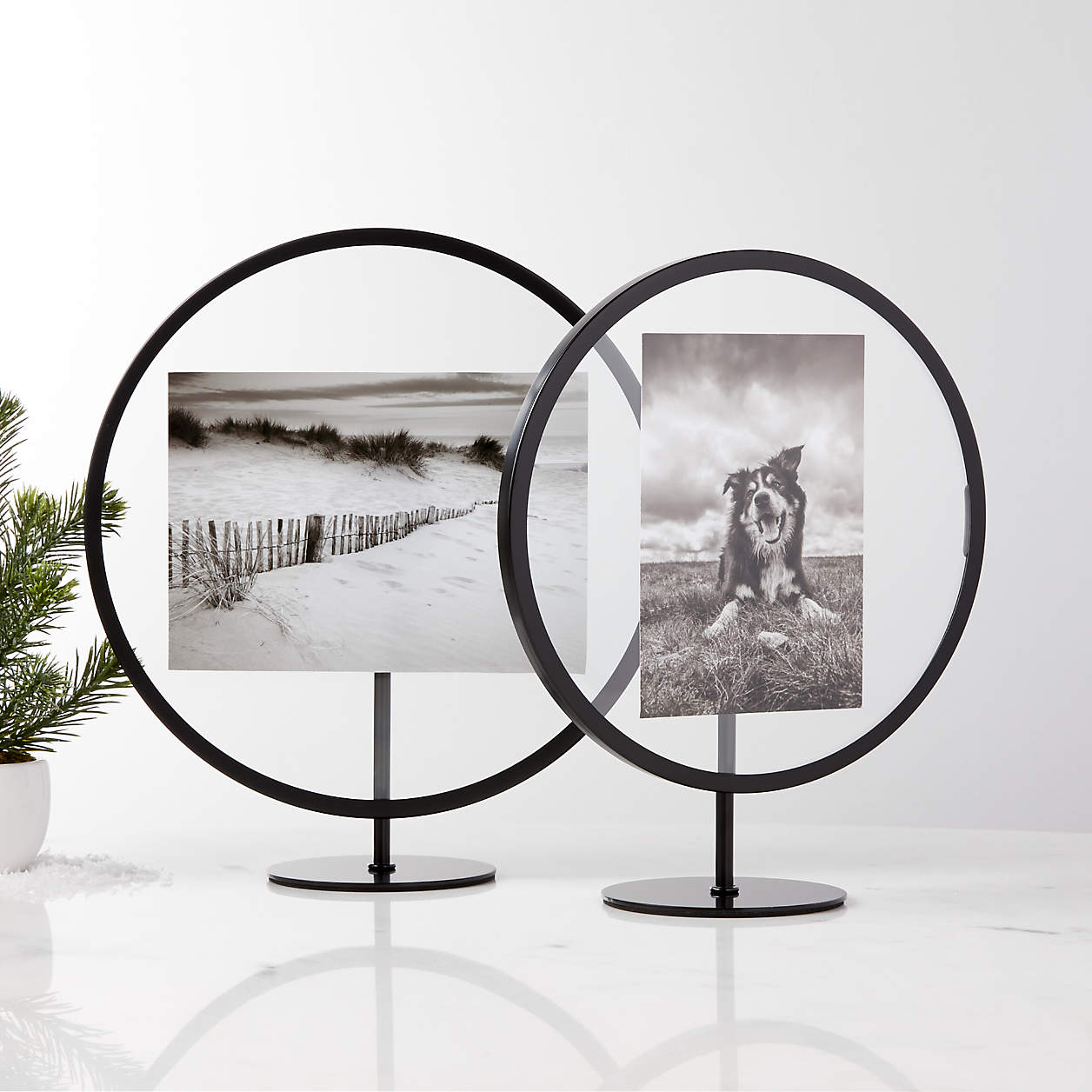 Infinity Round Picture Frames | Crate & Barrel