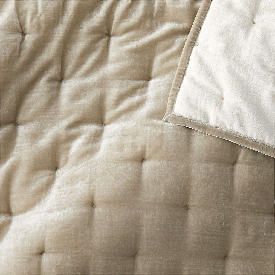Juliet Dove Velvet Euro Pillow Sham | Crate & Barrel Canada
