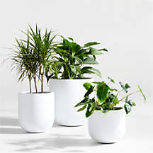 Junio Small Round White Planter Pot 13" + Reviews | Crate & Barrel