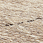 Larache Wool Moroccan Sand Beige Rug 12"x18" Swatch | Crate & Barrel