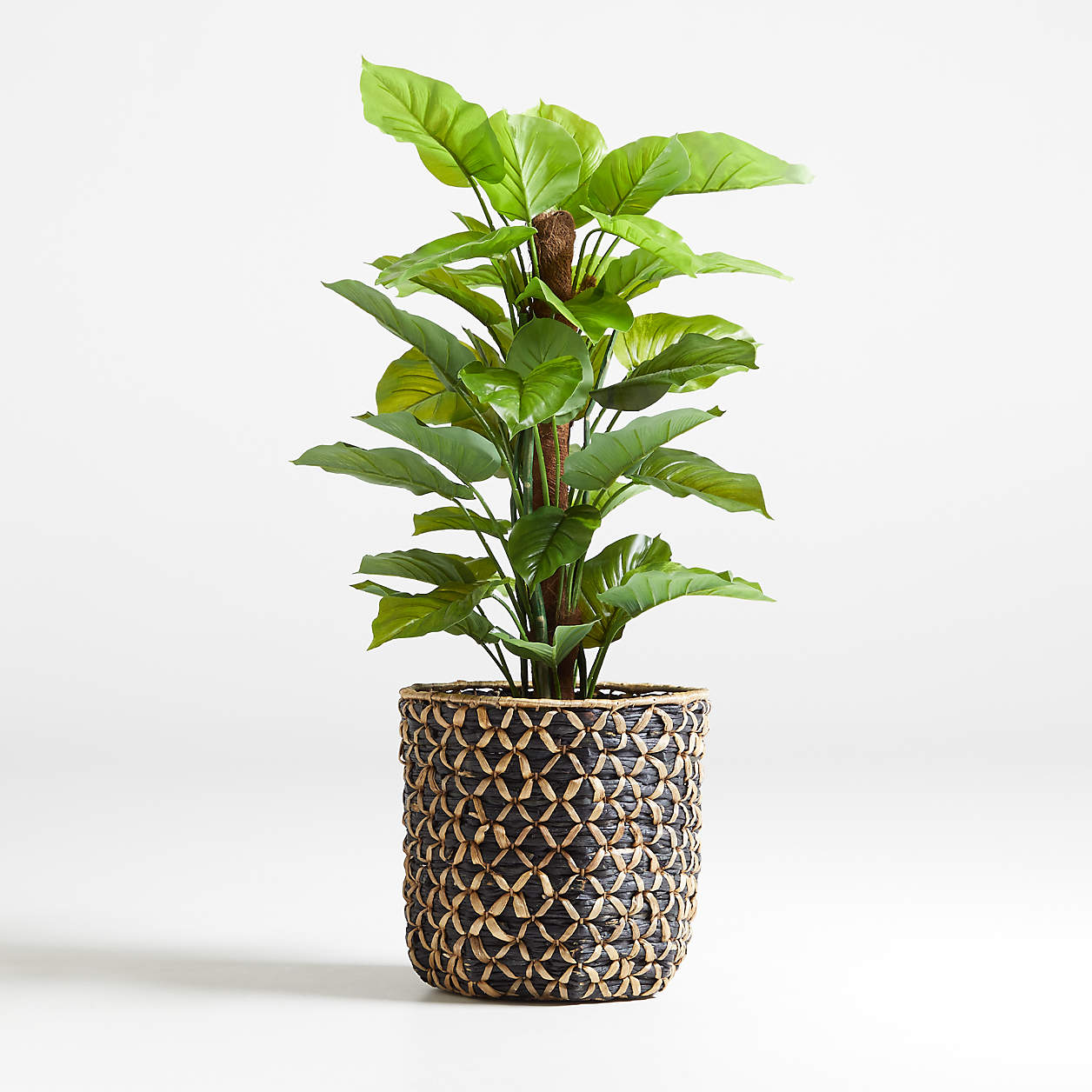 52" Faux Large Leaf Philodendron Plant + Reviews | Crate & Barrel