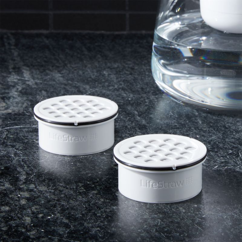 LifeStraw Home Carbon Water Filter 2-Pack + Reviews | Crate & Barrel