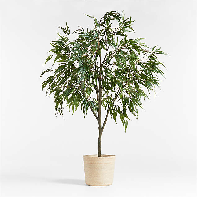 Potted Faux Triangle Ficus Tree 9' | Crate & Barrel
