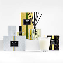 NEST New York Grapefruit Wall Diffuser | Crate & Barrel