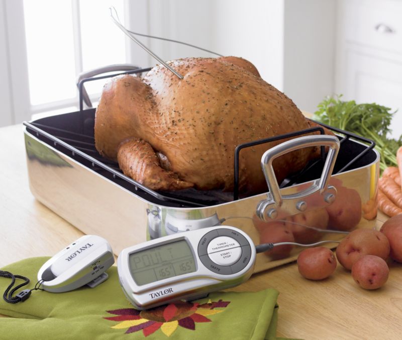 Large Roasting Pan + Reviews | Crate & Barrel