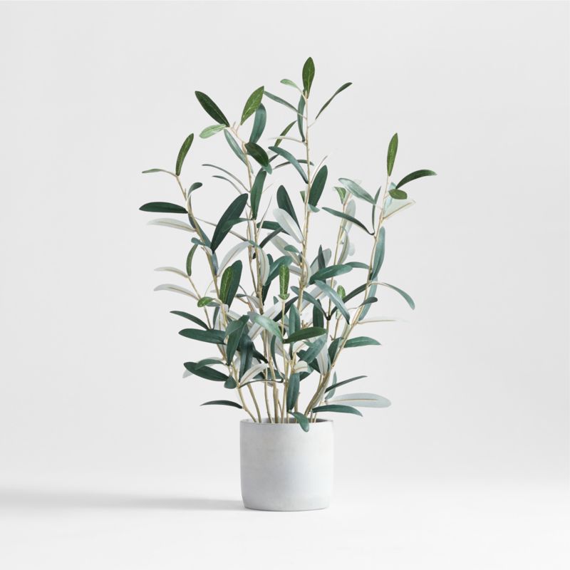 Faux Olive Tree in Pot 22" + Reviews | Crate & Barrel