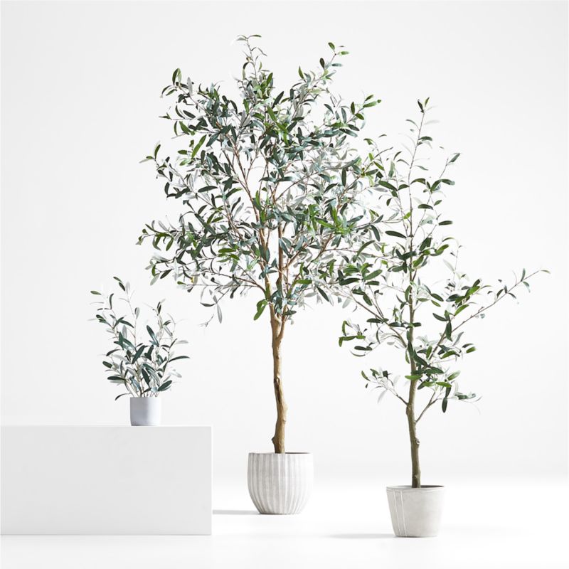 Potted Faux Olive Trees | Crate & Barrel