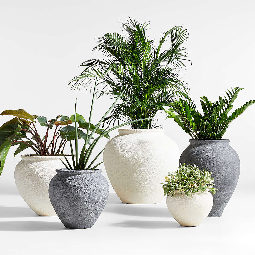 Indoor & Outdoor Planters: Wood, Wall Styles & More | Crate & Barrel Canada