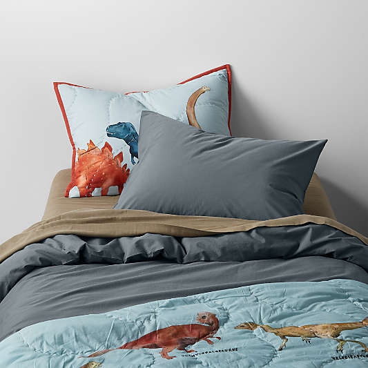 Modern Boys Bedding: Boy Sheet Sets & Duvet Covers | Crate & Kids
