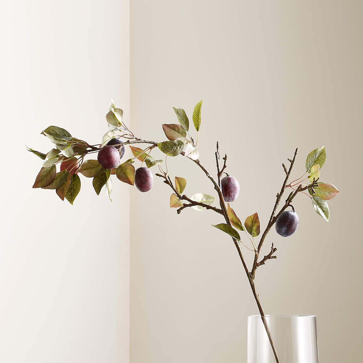 Plum Stem | Crate & Barrel