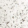 Poe White Volcanic Glaze Vase 16" + Reviews | Crate & Barrel