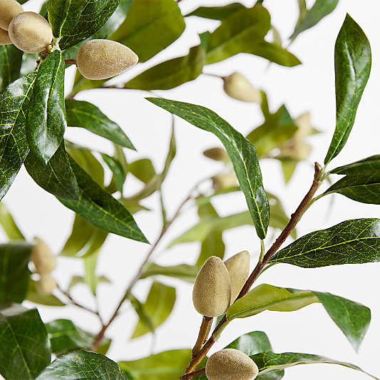 Botanicals: Artificial Plants & Silk Flowers | Crate & Barrel Canada