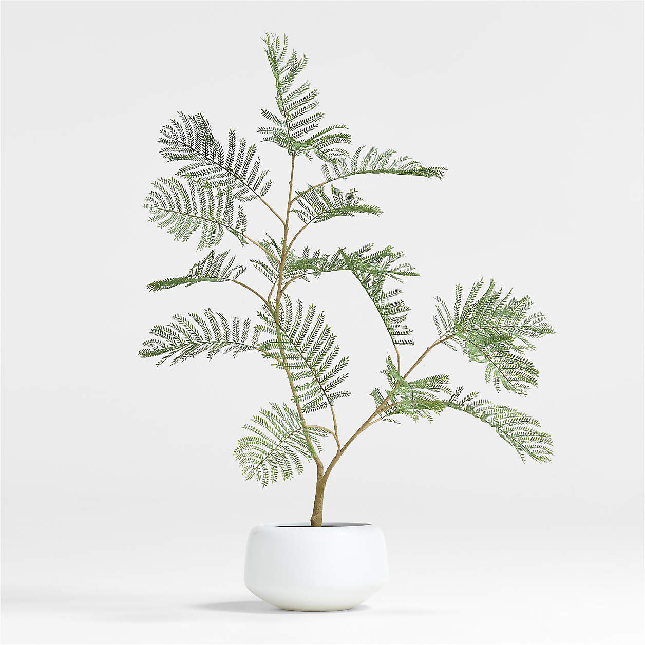 Potted Faux Fern 3' + Reviews | Crate & Barrel